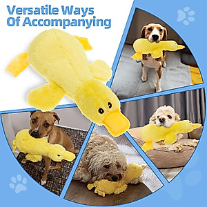 Mihachi Plush Squeaky Dog Duck Toys - Stuffed Pet Toy Duck Interactive Gifts for Dog Birthday Dogs Puppy Biting Chew Toys - for Medium and Large Dogs