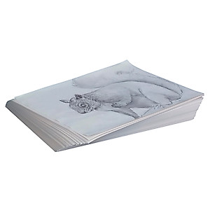 School Smart - 85250 Newsprint Drawing Paper, 30 lb, 8-1/2 x 11 Inches, 500 Sheets