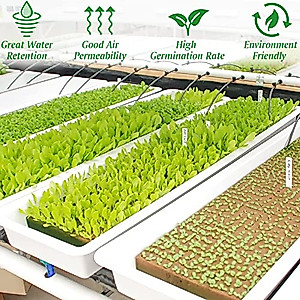 Halatool 1.2 inch Rockwool Cubes 2 Sheets Fluffy Porous Hydroponics Planting Cubes for Soilless Cultivation Seedlings Cuttings Clone Plants (72 Plugs Total)