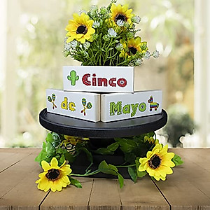 JennyGems Cinco De Mayo Wooden Signs Set, Decor for Cinco De Mayo, Tiered Tray Sign for Cinco De Mayo, Made in USA