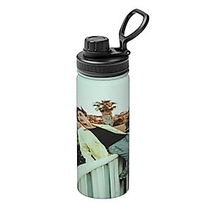 Eevikion Johnny Musics Orlando Stainless Steel Insulated Tumbler Sports Water Bottle Hot and Cold Travel Cup 18oz