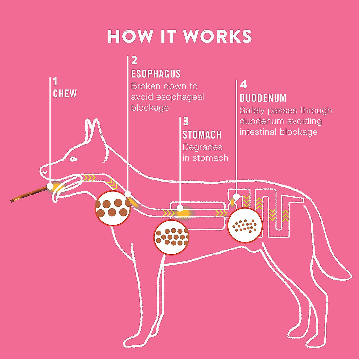 TRURANCH Large Pork Skin Rolls, Chicken-Wrapped Jerky, Made with Real Pork Skin, Rawhide Alternative, Healthy Dog Chews, 1 Bag, 2 Count