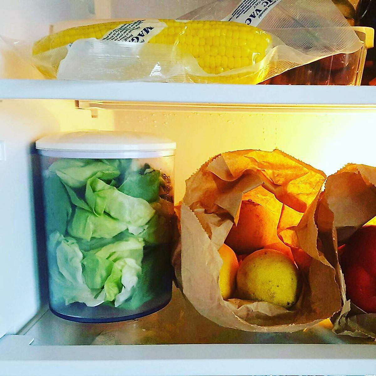 Magic VAC VCK 525 Vacuum Container Set Round with Lid 0.75 L / 1.5 L / 3 L