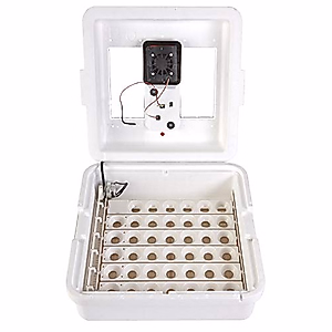 Little Giant® Digital Still Air Incubator | 41 Eggs | Egg Incubator with Temperature and Humidity Control | Chick Incubator