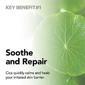 Meebak Cica Korean Face Moisturizer 5 fl oz for Women, Anti-Aging, Neck, Chest, Day and Night Cream