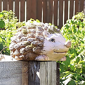 Sunnydaze Hazel The Hedgehog Garden Statue Decor - Hand-Painted Sculpture for Patio, Lawn, Garden and Indoor Living Spaces - 7-Inch