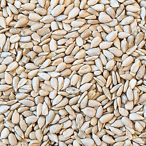 Happy Wings Sunflower Hearts & Chips - Sunflower Kernels and Chips Bird Food- 5 Pounds I No Mess, No Waste Seed| No Grow Seed | Bird Seed for Wild Birds