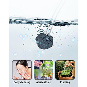 Portable Ozone Machine Generation for Water and Air, with Dual Outlets, Negative Ion and Timer，Silver