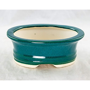 5.75" Oval Teal Green Bonsai/Succulent Pot + Soil + Tray + Rock + Mesh Kit