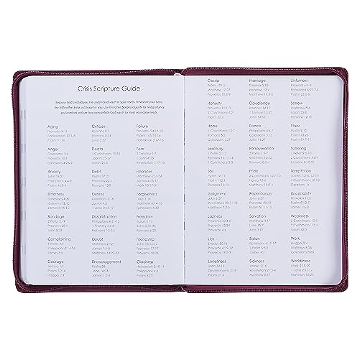 Christian Art Gifts 2024 18 Month Women's Vegan Leather Personal Planner Organizer w/Zipper Closure: Be Still & Know Inspirational Bible Verse, Daily, Weekly, Monthly Planning, Maroon Floral, Large