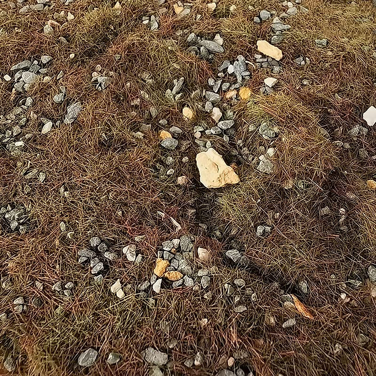 Miniature Scenery Basing Material Kit Terrain Kit for DIY Model Terrain Scenery Model Railway Fairy Garden Diorama Scenery, Pack of 3