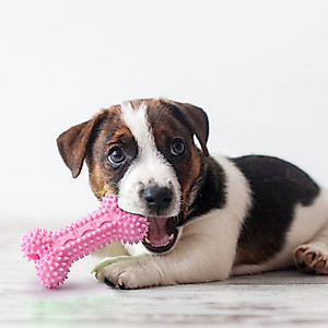 YUKOOY Puppy Toys,Dog Chew Toy for Teething Small Dogs, Puppy Chew Squeaky Toys, Soft & Durable Dog Chew Toys Cleaning Teeth and Protects Oral Health