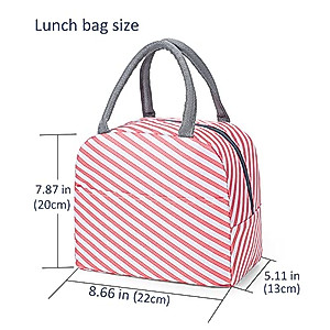 INVODA 4PCS Lunch Bag 4PCS Reusable Portable Lunch Bag Insulated Picnic Bag Cooler and Thermal Lunch Organizer for Work Picnic (4 Patterns)