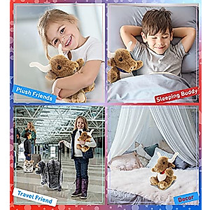 DolliBu Plush Texas Longhorn Stuffed Animal - Soft Plush Huggable Texas Longhorn Plush, Adorable Playtime Plush Toy, Cute Wild Life Cuddle Gifts for Kids & Adults - 8 Inches