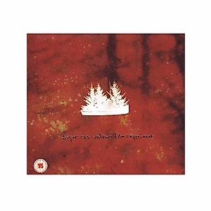 Sigur Ros: Valtari Film Experiment [DVD] [2013]
