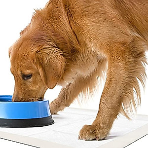 OUT! Ultimate Pro-Grip Dog Pads | Absorbent Pet Training and Puppy Pads | Grip Technology Prevents Slipping and Bunching | 50 Pads | 21 x 21 Inches