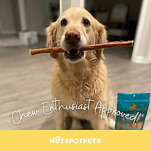 hotspot pets Jumbo Bully Sticks for Aggressive Chewers (12 Inch, 6 Pack), Extra-Thick Dog Chews, Low Odor & Fully Digestible 100% Beef Chews, Best Natural Dental Treat