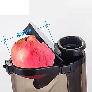 TANACC Portable Juice Blender Electric Multifunction Juicer Fruit Ice Cream Maker Household Food Processor Juice Extractor Stainless Steel Body