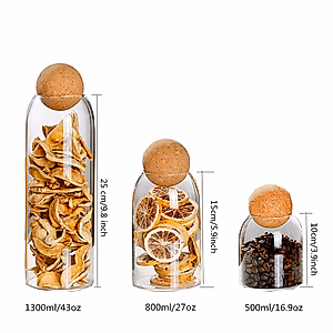 Glass Jar with Wood Lid Ball Jar Food Storage Container Clear Candy Jars Food Storage Canister Sugar Coffee Tea Beans Spice Salt Storage 3 Pcs