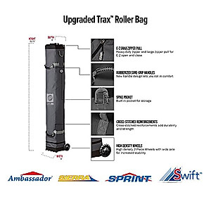 E-Z UP Ambassador Instant Shelter Canopy, 10' x 10', Roller Bag and 4 Piece Spike Set, White Slate