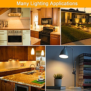 G8 Halogen Bulb 20W 120V T4 JCD Type G8 Base Bi-Pin Xenon Light Bulbs, Dimmable with Long Lasting Lifespan, G8 Halogen Light Bulbs for Under Cabinet Puck Lighting Replacements, Warm White, 6 Packs