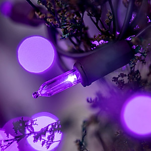 SWEET SHINE Purple LED Christmas Lights with Purple Wire, 66 Ft 200 Counts UL Certified Holiday Lights Set (Purple)