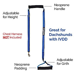 GINGERLEAD Dog Sling Hip Support Harness, X-Small Fits Little Pets Under 25 lbs and Dachshunds with IVDD, Spinal Disc Disease, or Back Injuries. Assist Elderly, Paralyzed, or Recovering Pets.