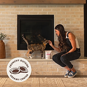 Rocco & Roxie Allergy Relief for Cats, Cat Supplements & Vitamins, Probiotics to Support Gut Health, Fish Oil for Skin, Sneezing and Itching from Seasonal Allergies, Tart Cherry Immune System Support