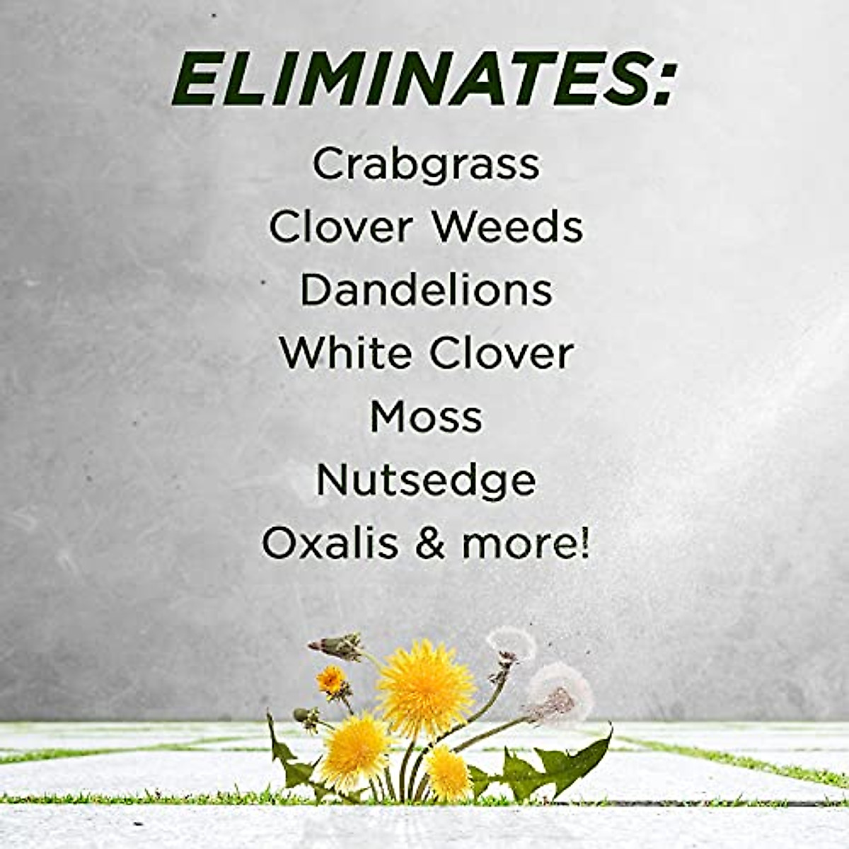 Green Gobbler 20% Vinegar Weed & Grass Killer | Natural & Organic | Concentrated | 1 Gallon Spray | Glyphosate Free Herbicide