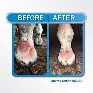 Champion Seal Liquid Bandage, 2 Pack Spray on Wound Care for Horses, Livestock, Large Animal First Aid, Woman Owned Small Business