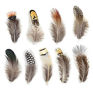 180pcs 9 Styled Natural Feathers Assorted Mixed Feathers for Jewelry and Dream Catcher Crafts