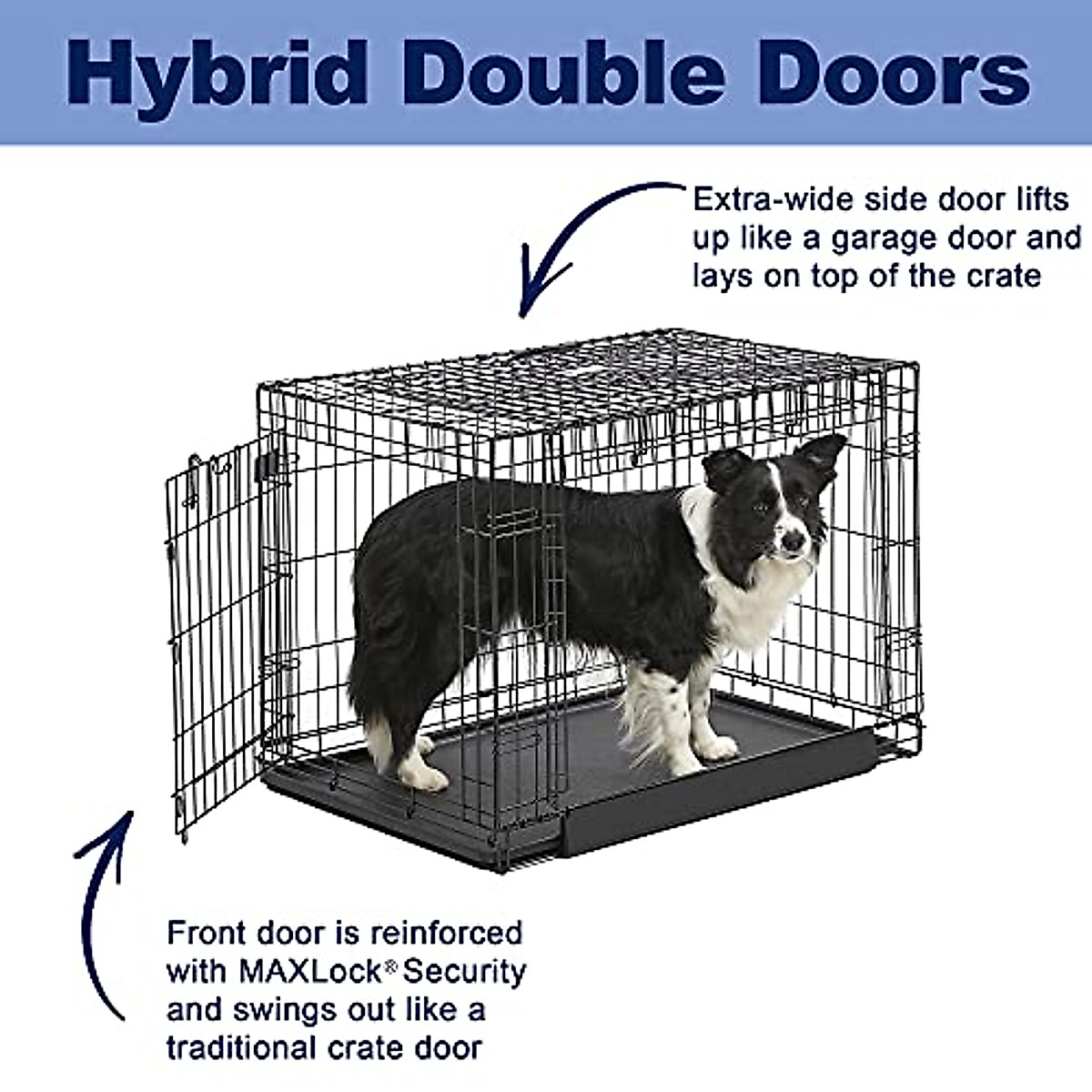 MidWest Homes for Pets Ovation Double Door Dog Crate, 36-Inch