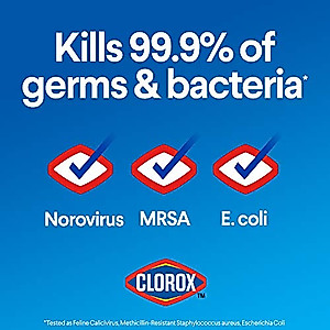 Clorox Disinfecting Bleach, Concentrated Formula, Regular - 43 Ounce Bottle (Package May Vary)