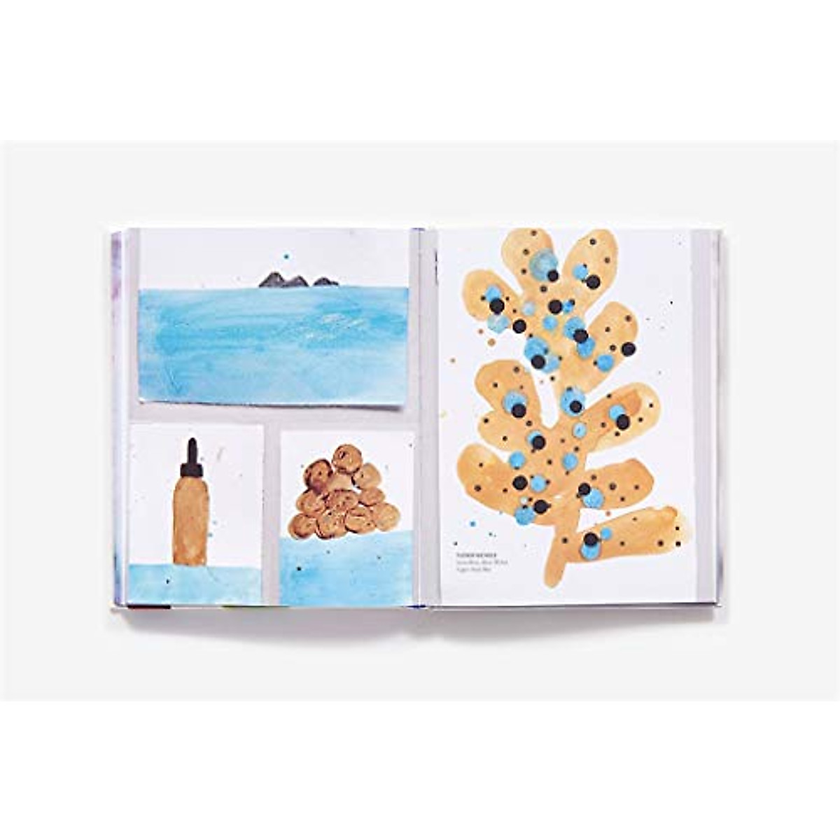 Make Ink: A Forager’s Guide to Natural Inkmaking