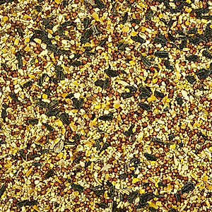 Kaytee Wild Bird Basic Blend Bird Seed Food For A Variety Of Wild Birds, 20 Pound