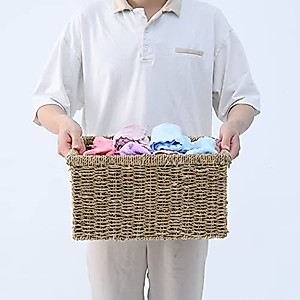 Teri Tale Seagrass Storage Baskets with Wooden Handles, Rectangular Wicker Baskets for Organizing - Decorative Wicker Storage Basket for Living Room (Large)