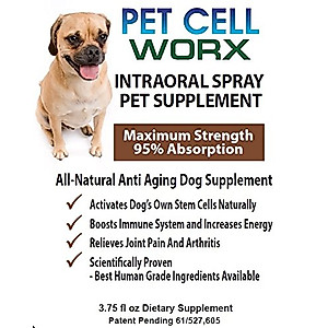 #1 Liquid Nutrition for Dogs - New - Spray Application Pure Glucosamine, Colostrum and Resveratrol – 95% Absorption