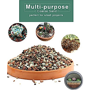 Succulent and Cactus Soil Gritty Mix Rocks, 6lb Bonsai Volcanic Gravel, Indoor Plant Drainage Lava Stones, Small Decorative Potting Pebbles for Terrarium Fairy Gardening and Houseplants Top Dressing