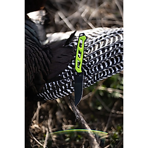 Schrade Delta Class Isolate Drop Point Fixed Blade 8.5in with 4in AUS-10 Steel and Non-Slip Grip for Hunting