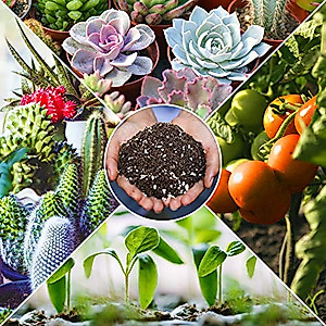 Organic Potting Soil, Cactus and Succulent Soil Mix, Professional Grower Mix Soil, Fast Draining Pre-Mixed Coarse Blend (8 Quarts)