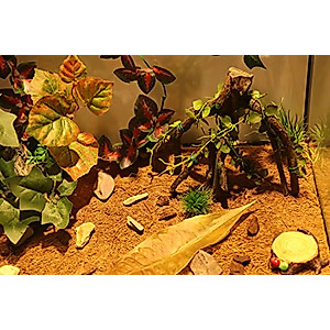 HRRIVE Reptile Corner Climbing Branch with Plant Leaves Terrarium Habitat Decoration for Bearded Dragon Lizard Snake Hermit Crab Crested Gecko Leopard Chameleon Frog Climbing Accessory