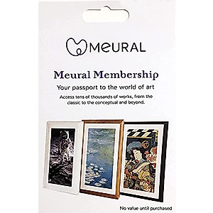 Netgear Meural Canvas II Bundle – 27" HD Digital Canvas (19X29) Black Frame with Swivel Mount & Annual Membership Card (MC327BLS)