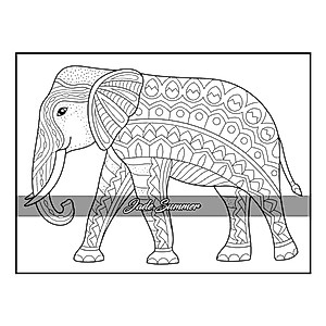 100 Animals: An Adult Coloring Book with Lions, Elephants, Owls, Horses, Dogs, Cats, and Many More!
