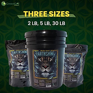 GreenGro Earthshine - Biochar & Humic Acid Blend/Activated Charcoal/Sequesters Carbon/Organic Soil Booster, Top Soil, Plant Food/Compost Tea Accelerator/Derived from Worm Castings / 5lb