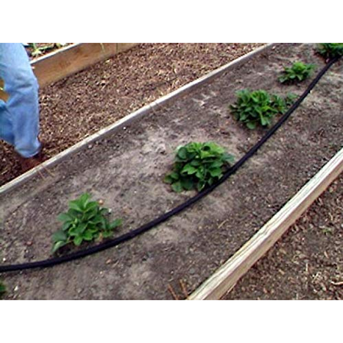 Rocky Mountain Goods Soaker Hose Flat 50 ft - Heavy Duty Double Layer Design - Saves 70% Water - Consistent Drip Throughout Hose - Leakproof Guarantee - Garden/Vegetable Safe