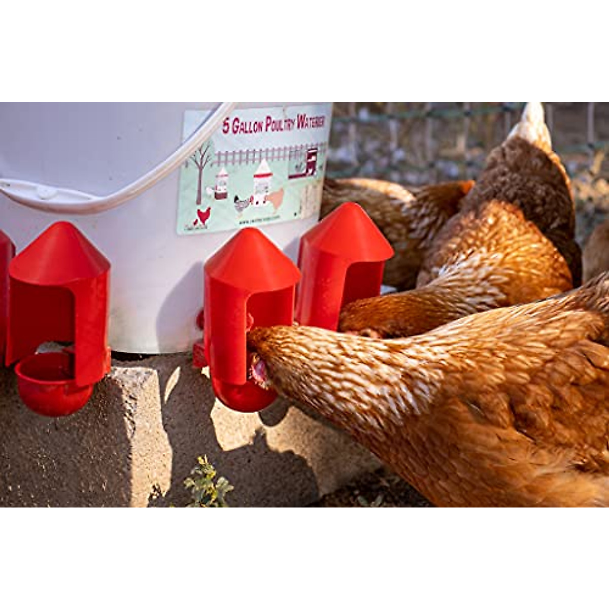 RentACoop Anti-Dirt Chicken Water Cup Covers - Compatible with Any RentACoop DIY Cups and Waterers - 6 Pack