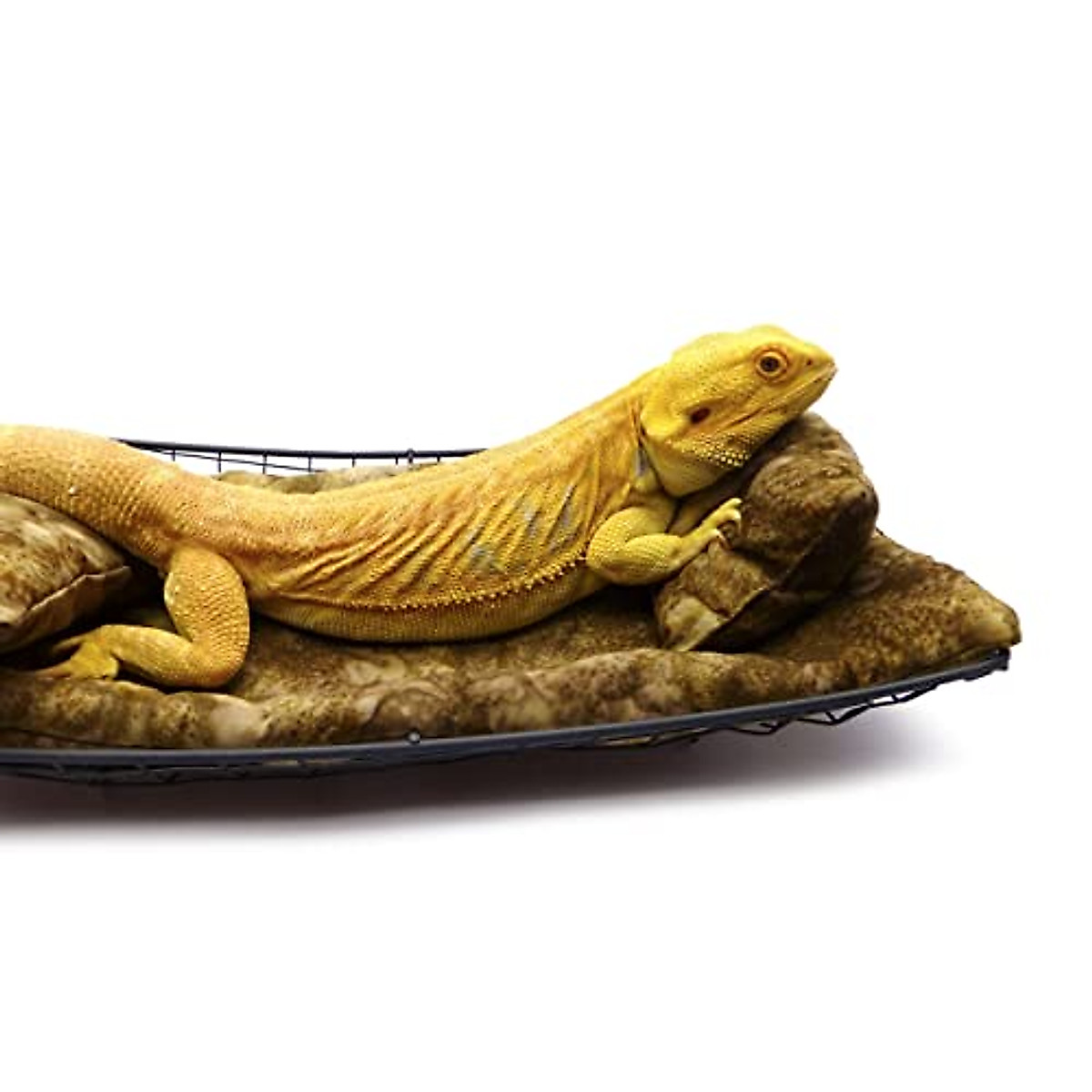 Chaise Lounge for Bearded Dragons, Brown Batik Fabric