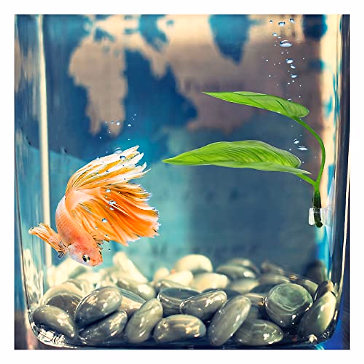 WishLotus Betta Leaf, 2 Pack Lightweight Realistic Betta Leaf Hammock Double Leaf Design Fish Tank Plant Decoration for Betta Habitat Aquarium Decoration Accessories (Green)