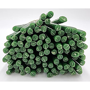 50 Natural Pure Beeswax Taper Candles 11 inch Tall Church Jerusalem Holy Land Decorative Thin Candle Home Decor (Green)