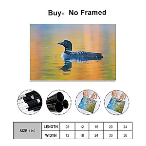 Rainbow Lake Common Loon Duck Canvas Poster Bedroom Decor Sports Landscape Office Room Decor Gift,Canvas Poster Wall Art Decor Print Picture Paintings for Living Room Bedroom Decoration 08x12inch(20x3